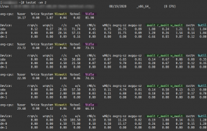 What is iowait and how does it affect Linux performance?