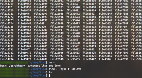 Bash Usrbinrm Argument List Too Long Solution
