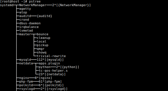 pstree command in Linux with examples