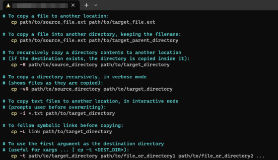 cp command in Linux with examples
