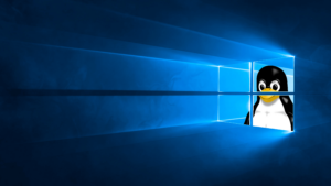 After 10 Yrs of Linux, I Switched to Windows. Part 2: Still Use Linux via WSL