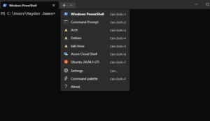 After 10 Yrs of Linux, I Switched to Windows. Part 2: Still Use Linux via WSL