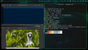 Immutable Linux Distros: Are They Right for You? Take the Test.