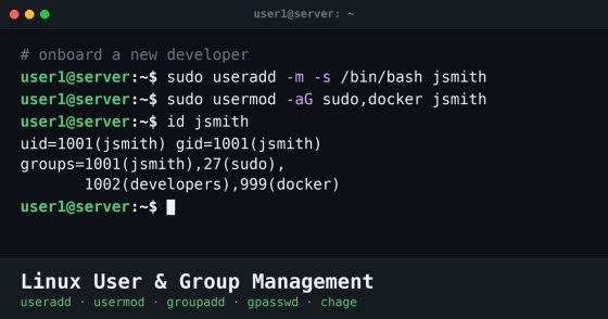 Linux: Guide to useradd, usermod, and groupadd | LinuxBlog.io